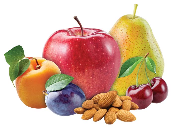 Home - Firman Pollen